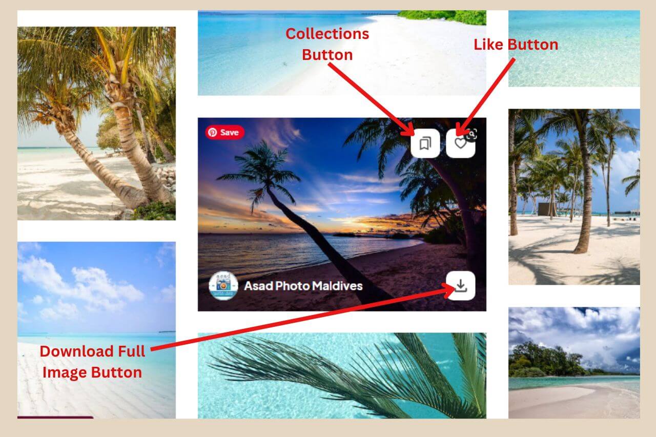 How To Create Images For A Website With Canva - No More Rush